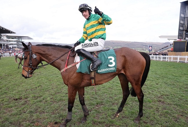 How Old is Brian Hayes Jockey? - The Hello Magazin